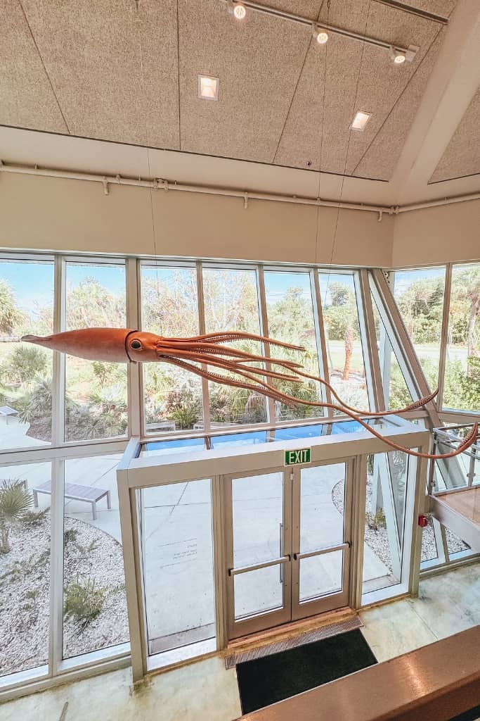 Sanibel Island Itinerary: Best Things to do in Sanibel